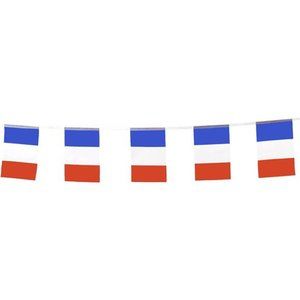 Accents | France Flag French Flag10feet76pcsnational Country World ...